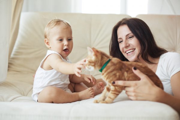 Developing empathy towards animals - Kinedu Blog